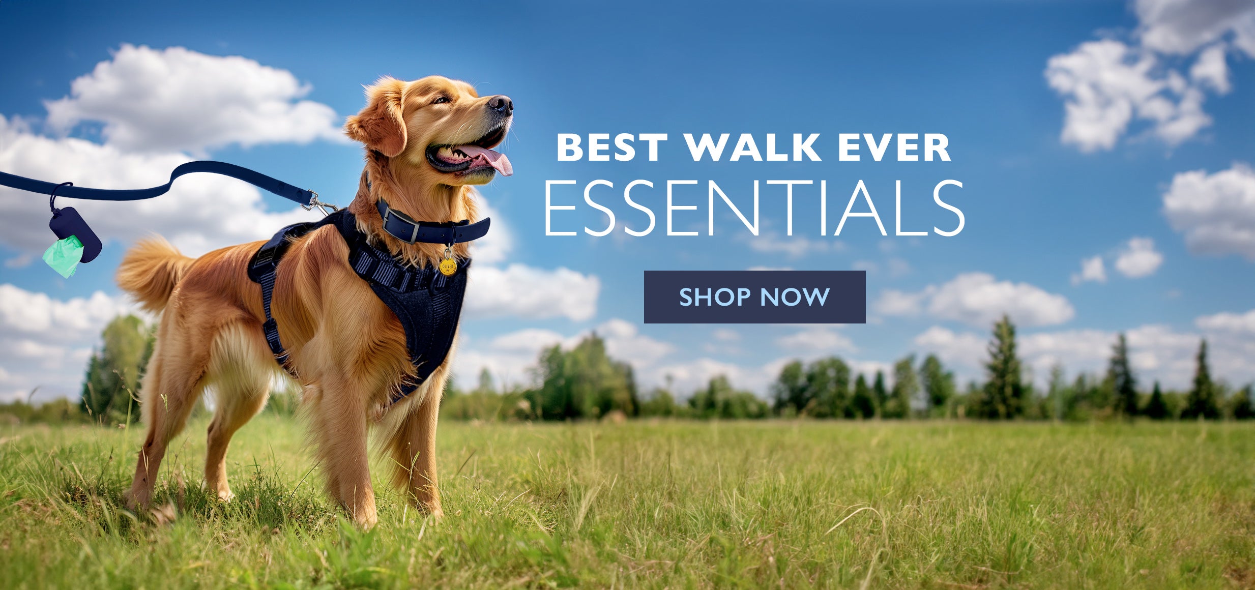 Pet Beds & Blankets | Coco & Bark – Coco and Bark