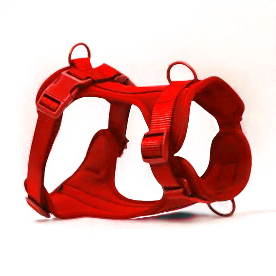 Flex-Poly Dog Harness – Coco and Bark