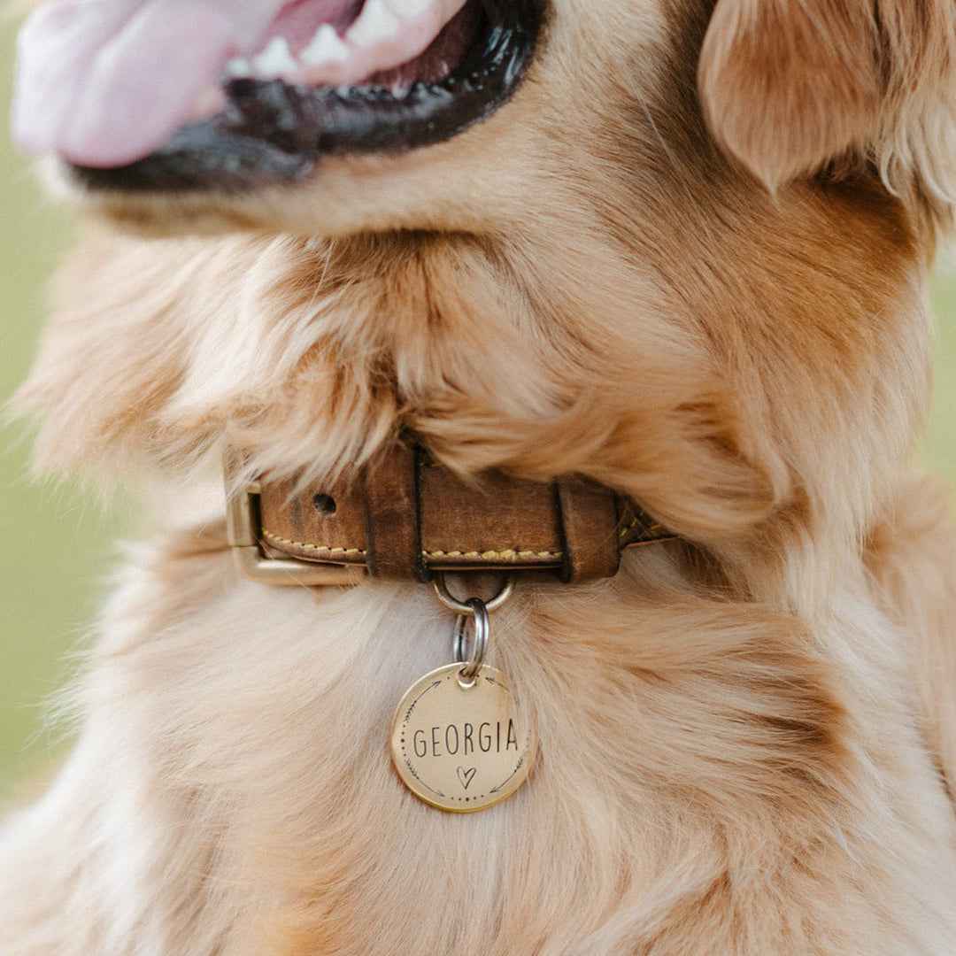 Premium Personalized Pet Tag - Customizable Dog Tag - Cat Tag – Coco ...